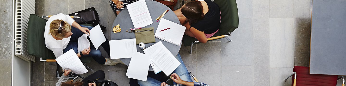 What is an ULF project? - Jönköping University