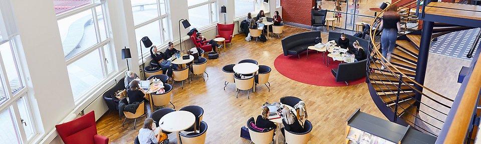 Primo New Search - University Library