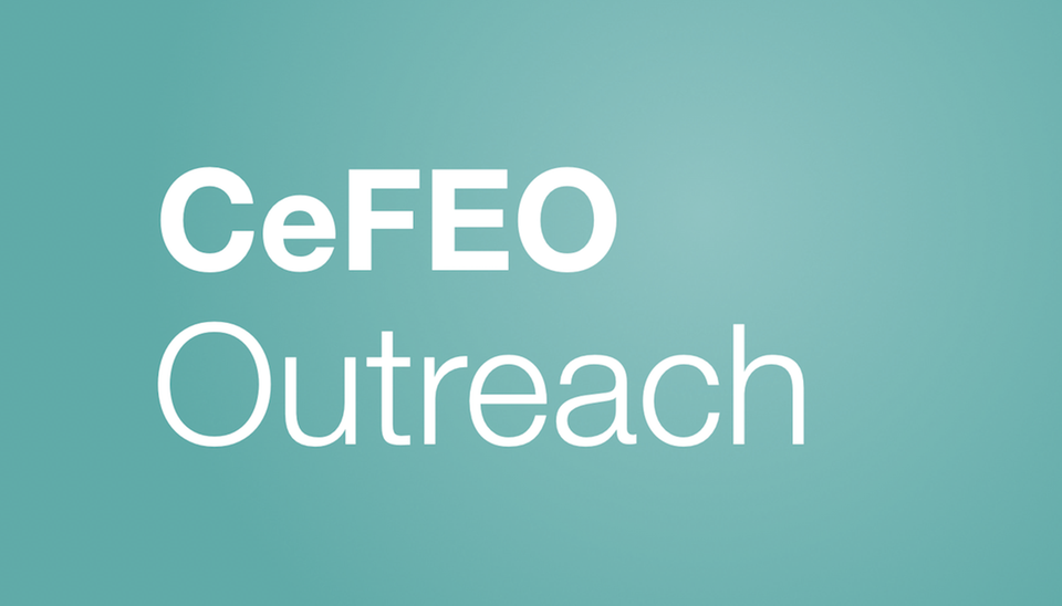 CeFEO - Jönköping University